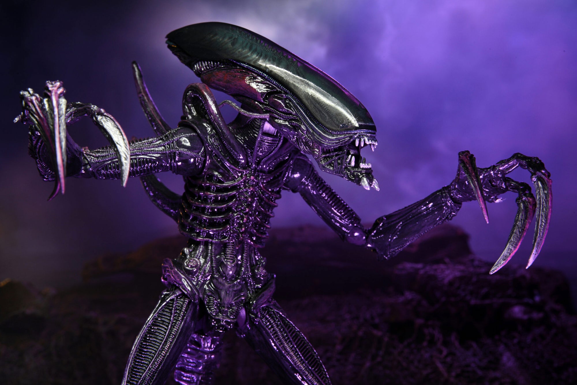 ALIEN VS PREDATOR - RAZOR CLAWS 7" ACTION FIGURE – NECA Online