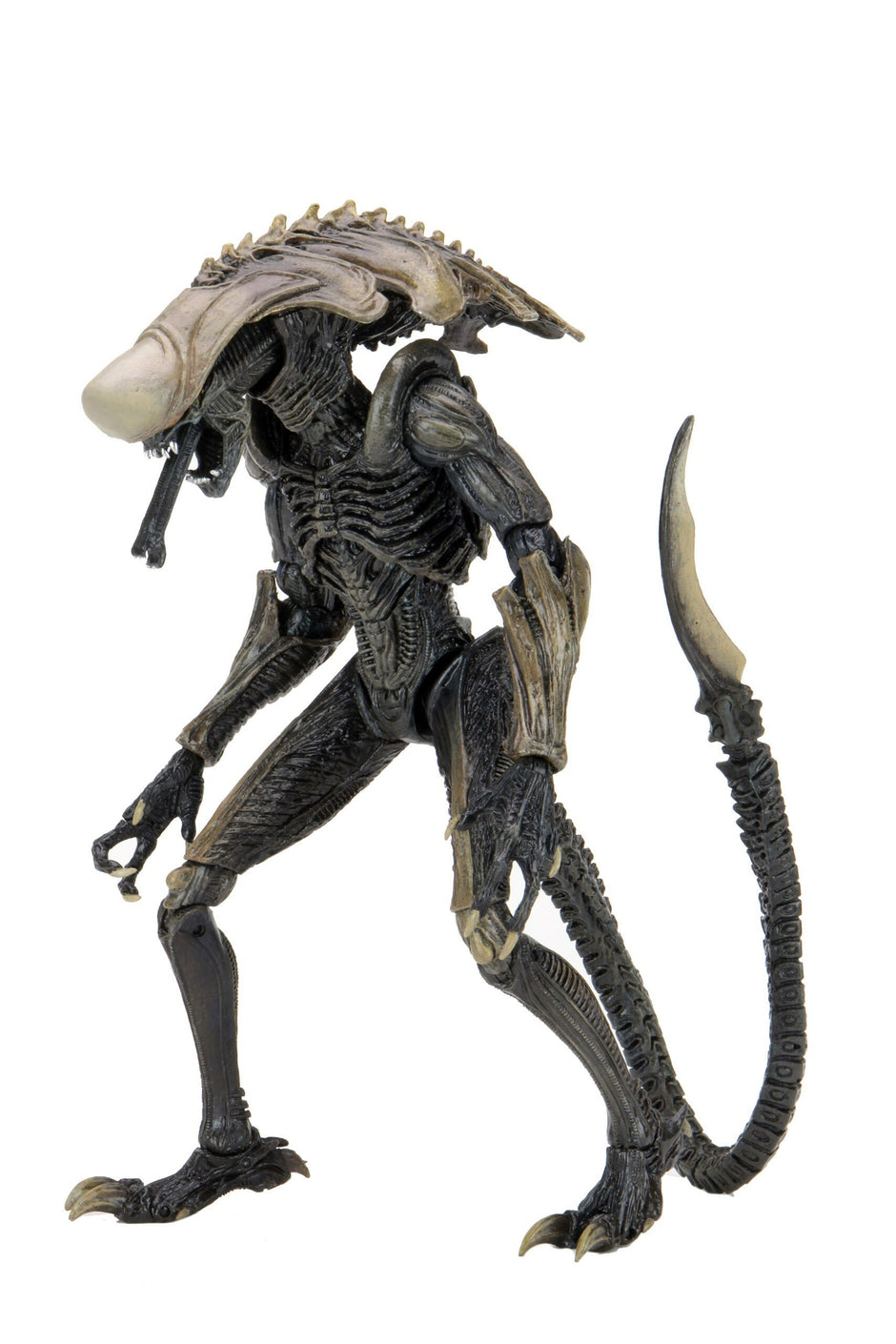 Aliens Action Figures | NECA Online