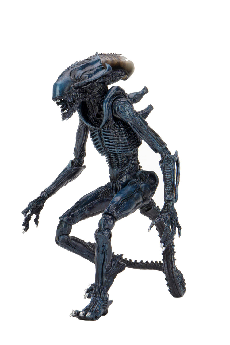 Aliens Action Figures | NECA Online